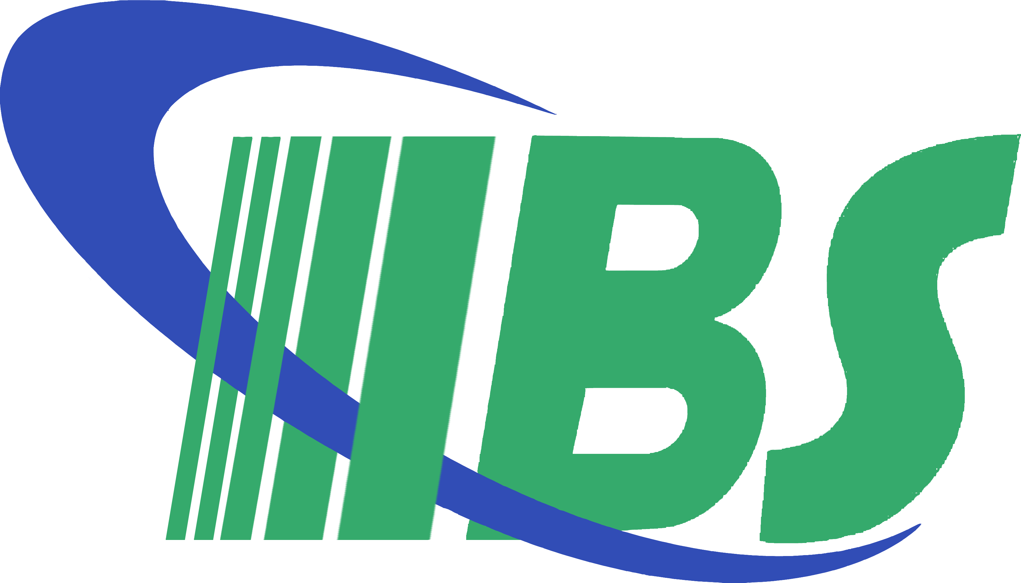 IBS Financial System