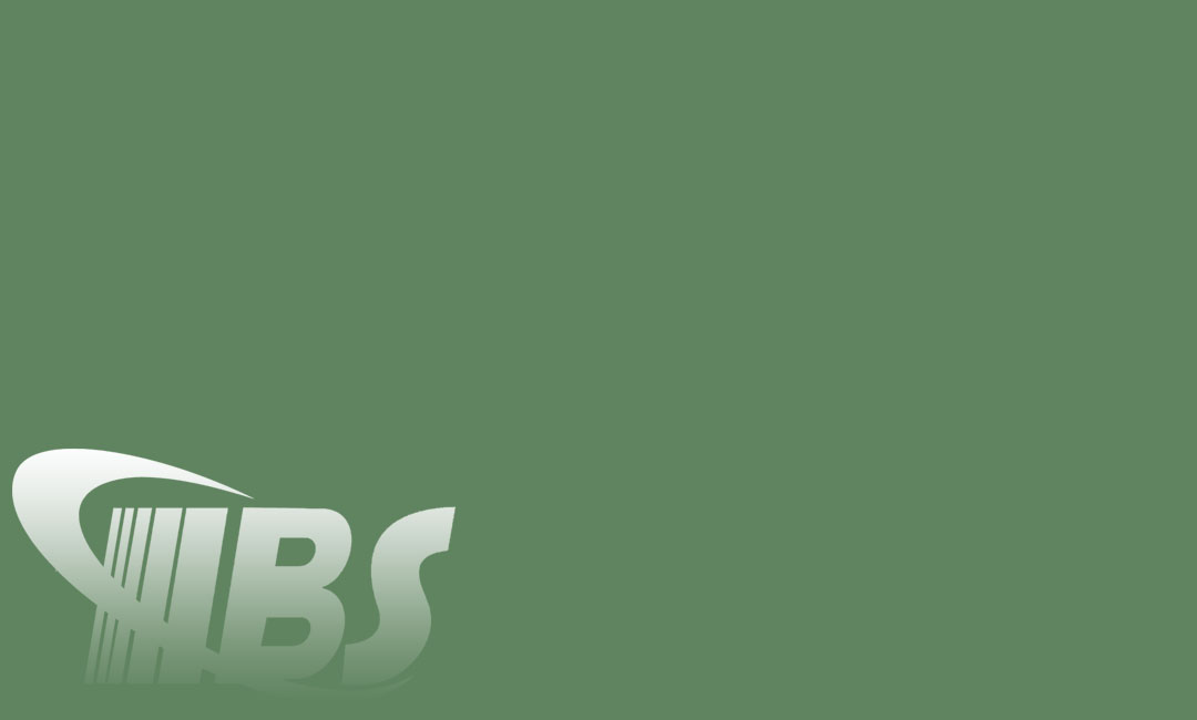 IBS Financial System